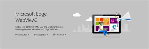 什麼是 Microsoft Edge WebView2 運行時以及如何降低 CPU 使用率 0x資訊