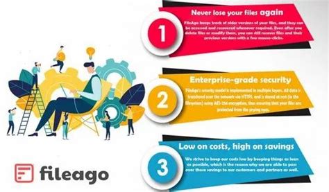 File Management Software At 10000 Unit Networking Security System In Sas Nagar ID 21263438455