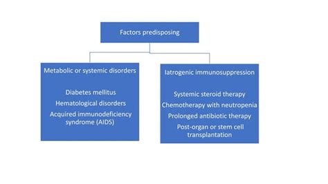 Fungal Rhinosinusitis Invasive Fungal Sinusitispptx Ear Nose And
