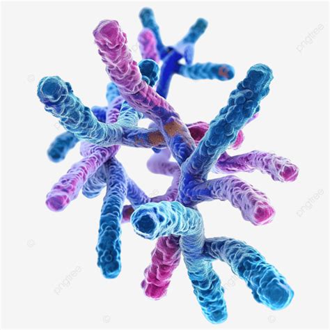 세포 염색체와 Dna 분자 생물학의 구조 생물학 셀 염색체 Png 일러스트 및 이미지 에 대한 무료 다운로드 Pngtree