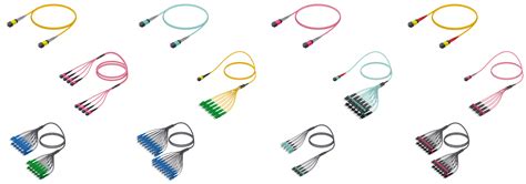 Gloprov By Redax Group Patching Assemblies Connectivity Gloprov By Redax Group