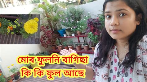 My Small Home Garden Tourour Houseplant Collectionassamese Vlog