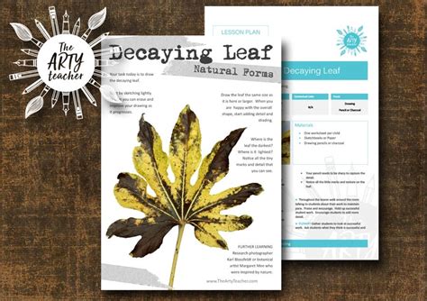 Decaying Leaf Sub Lesson The Arty Teacher