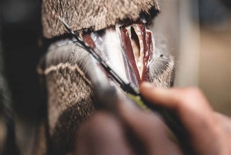 4 Advantages Of Knives With Replaceable Blades Feradyne Outdoors