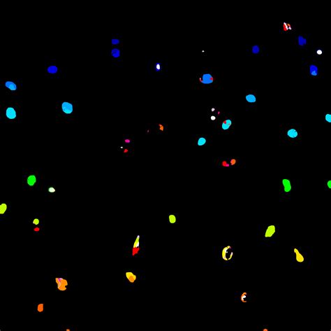 Fiji Cellpose Plugin Not Working Usage And Issues Imagesc Forum