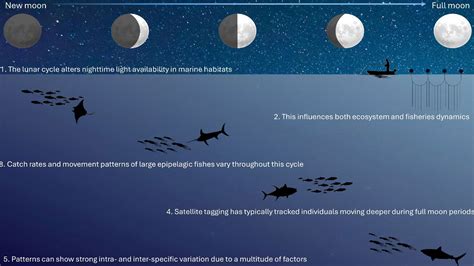 Lunar Effect