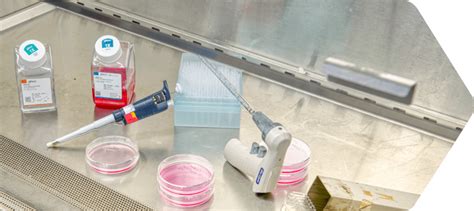 Histology Lab Resources Histospring Life Science Lab And Bench Space