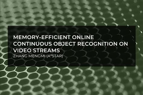 Memory Efficient Online Continuous Object Recognition On Video Streams Ai Singapore