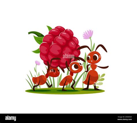 Cartoon Ants Carry A Raspberry Vector Pest Characters Stock Up Food