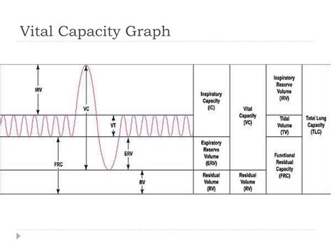 PPT Vital Capacity PowerPoint Presentation Free Download ID