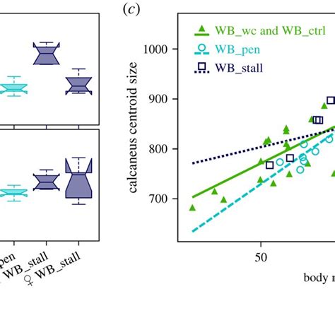 difference in muscle pcsa among wild caught and captive reared wild