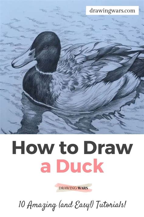 Amazing And Easy Step By Step Tutorials Ideas On How To Draw A Duck With Pencils And More