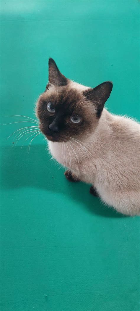 힙x 본인 요즘 여미새 모드 심해진듯 힙합 에펨코리아