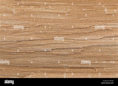 Birch Wood Texture Stock Photo Alamy