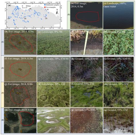 Remote Sensing Special Issue Satellite And Ground Remote Sensing For Wetland Environments
