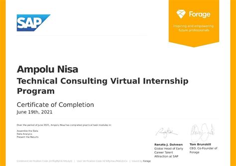 ampolu nisa on linkedin analytics internship datamining datavisualization sap experience