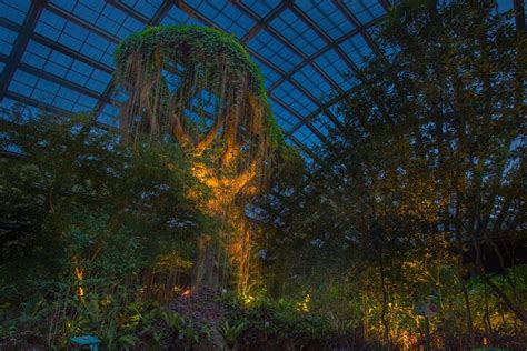 Penang Malaysia 槟城岛 旅游景点点评 Tripadvisor