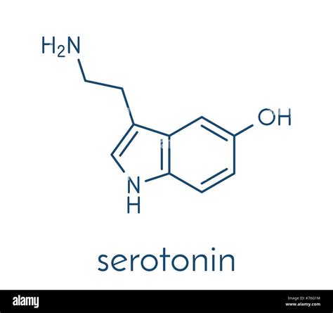 Serotonin Neurotransmitter Molecule Skeletal Formula Stock Vector Image And Art Alamy