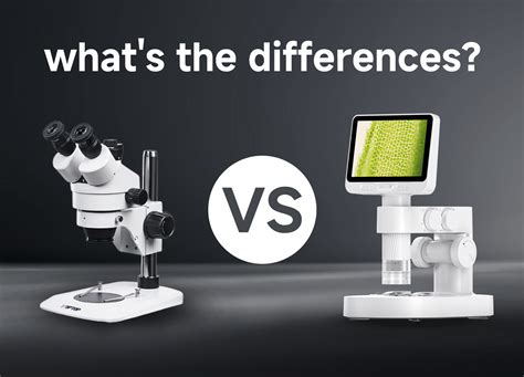 What Is The Difference Between A Light Microscope And A Digital Micros Beaverlab