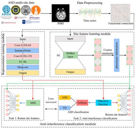 A Multi Site Anti Interference Neural Network For Asd Classification