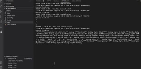 Print Booting Zephyr OS Build V2 6 Dead Loop Nordic Q A Nordic