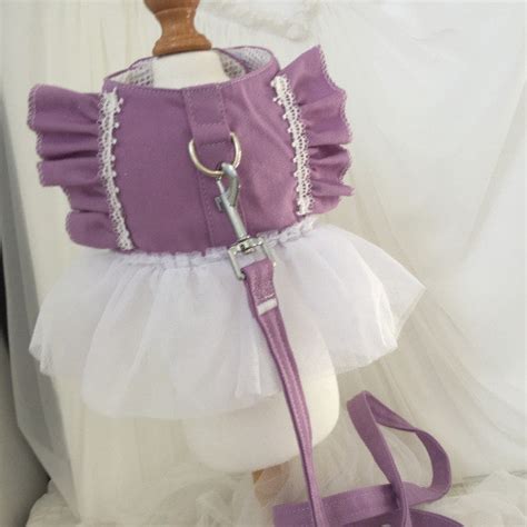 Badu Bg Принцеса Куче Жилетка Пола с Лия Сладка яка Кучешка рокля Дрехи за малки кучета Домашно