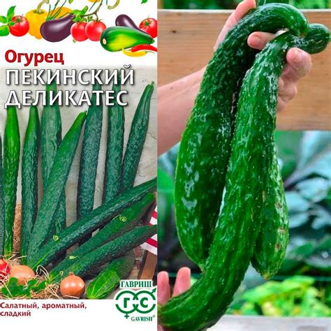 Купить Огурец Пекинский деликатес 10шт недорого по цене 35руб.|Garden ...