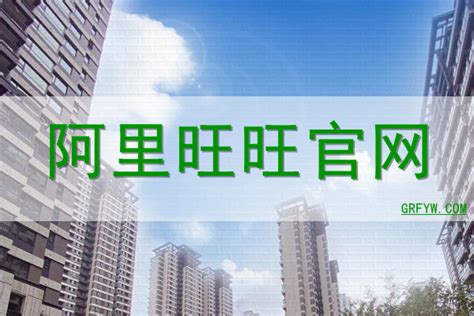 阿里旺旺网站