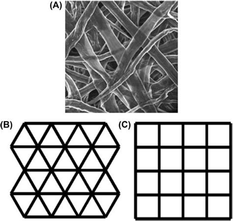 1 A Sem Image Of Fibers On Paper Surface B Triangular Lattice
