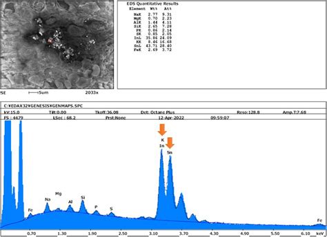 The Result Of Elemental Analysis The Result Of Analysis Using Scanning Download Scientific
