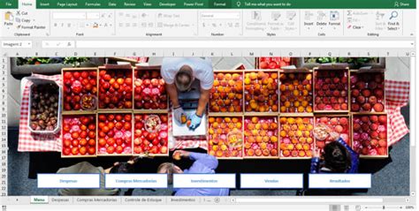 create a professional spreadsheet with formulas vba macros functions by thaynanff fiverr