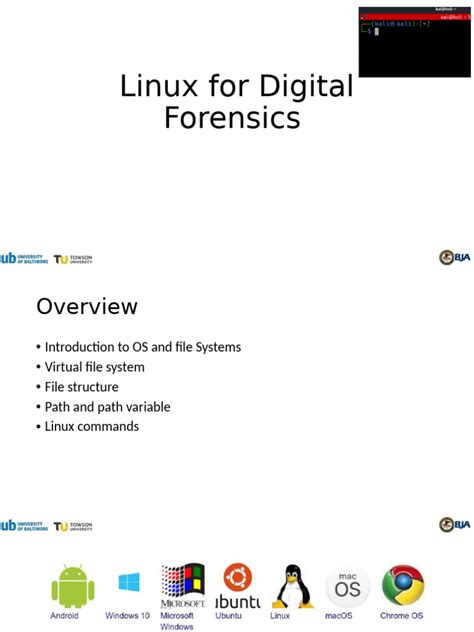 3linuxcommandlinetutorial Pdf File System Computer File