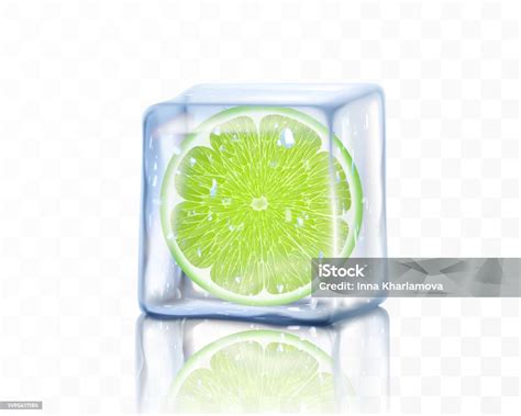 얼음 조각에 담긴 신선한 익은 라임 조각이 투명한 배경에 분리되어 있다 냉동 석회 조각 사실적인 3d 벡터 일러스트레이션 3차원 형태에 대한 스톡 벡터 아트 및 기타 이미지
