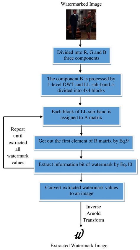 The Extracting Process Download Scientific Diagram