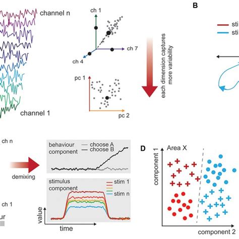 Procedures For Analyzing High Dimensional Neural Data In A Biologically