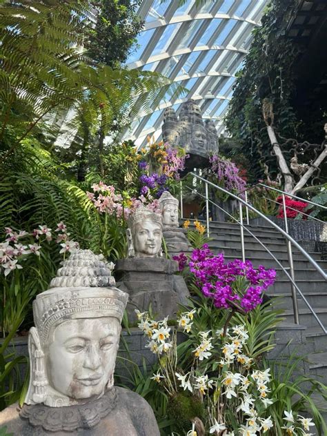 រូបប្រាសាទអង្គរវត្តចម្លង និងផ្កាអ័រគីដេ