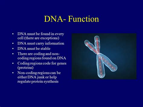 Dna Function