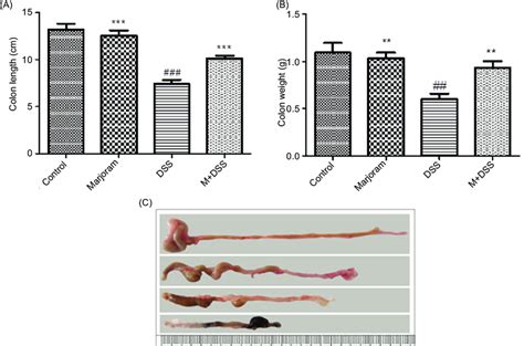 A Colon Length B Colon Weight C Colon Macroscopic Analysis Download Scientific Diagram