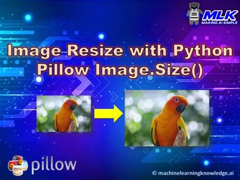 Python Pillow Pil Image Resize With Imageresize Function Mlk Machine Learning Knowledge
