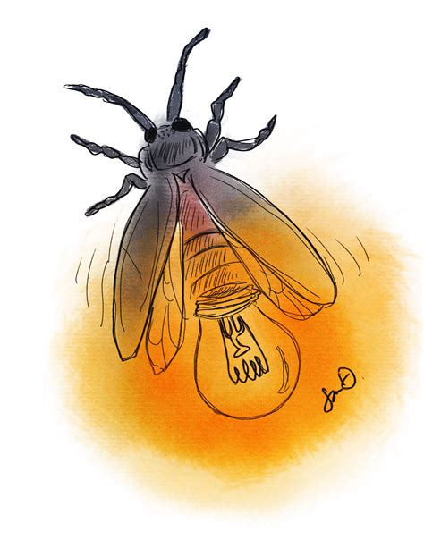 Lightning Bugs Sean Of The South