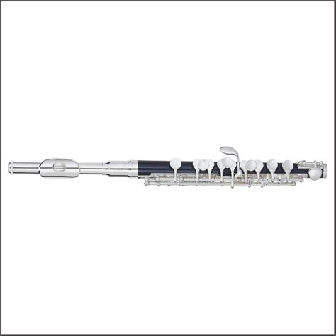 Fugue F110 Intermediate Abs Marching Piccolo • Prince Music Company
