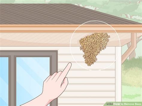 Ways To Remove Bees WikiHow