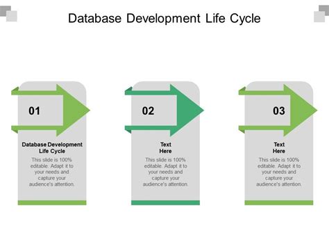 database development life cycle ppt powerpoint presentation