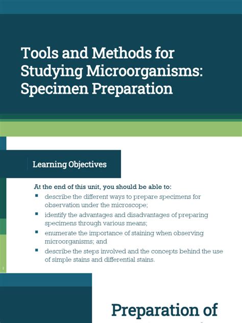 Microbiology Guide Pdf Staining Gram Positive Bacteria