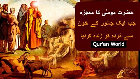Hazrat Musa Ali Salam Ka Mojza Ek Murde Ko Zinda Kar Dia Murda Bakri