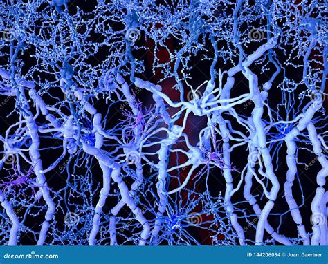 Microglia Cartoons Illustrations And Vector Stock Images 48 Pictures To Download From