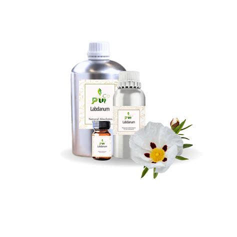 Labdanum Shubham Natural Fragrances