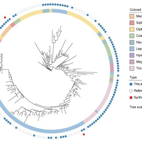 The Maximum Likelihood Tree Of Identified Novel Cecropins The Download Scientific Diagram