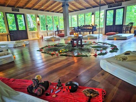 One Retreats Legal Psilocybin Retreats In Jamaica