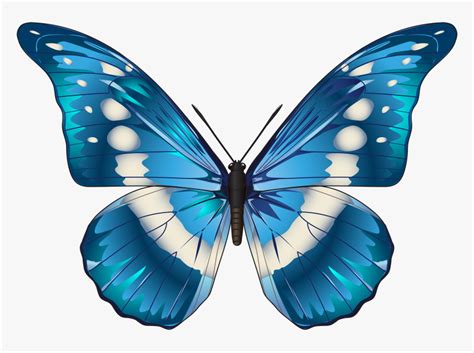 Butterfly Blue Png Clip Art Image Transparent Background Butterfly